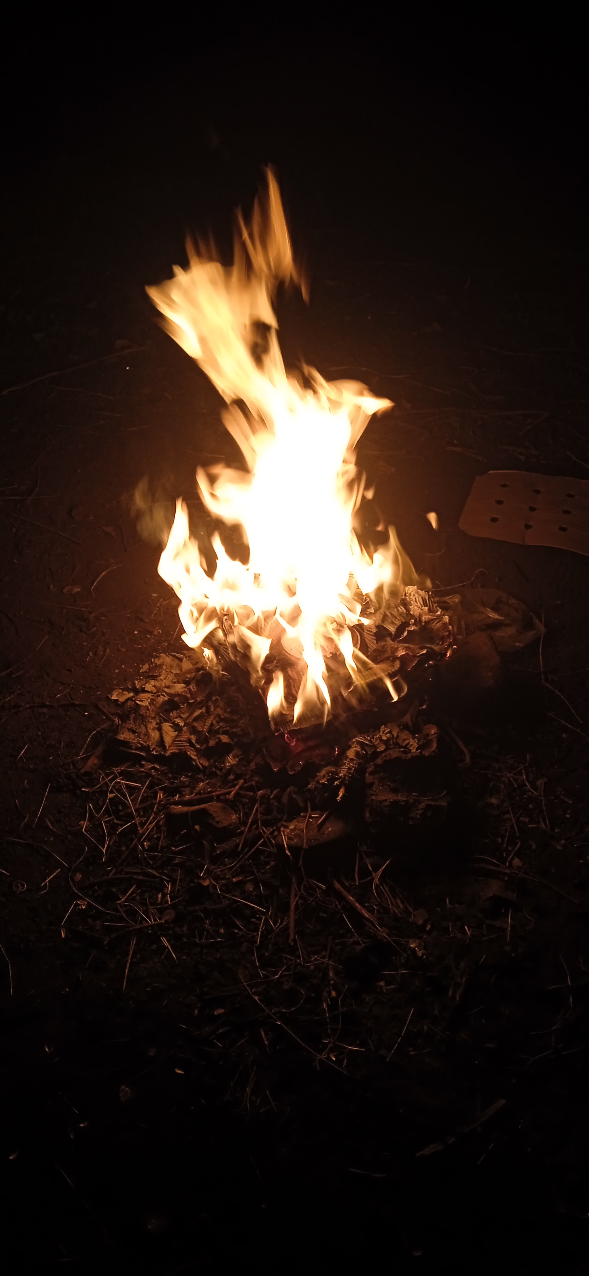 Block Blast High Score Leaderboard - Top 100 Players